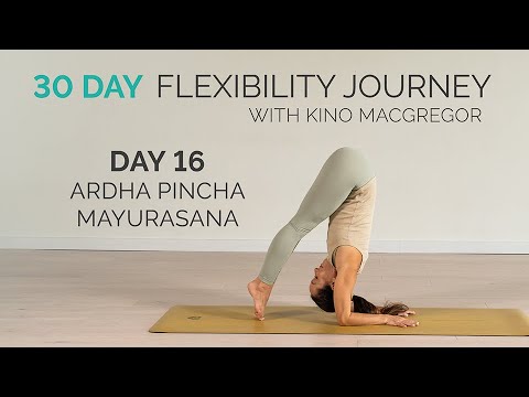 Day 16: Open the Heart | January 30 Day Flexibility Challenge | Ardha Pincha Mayurasana