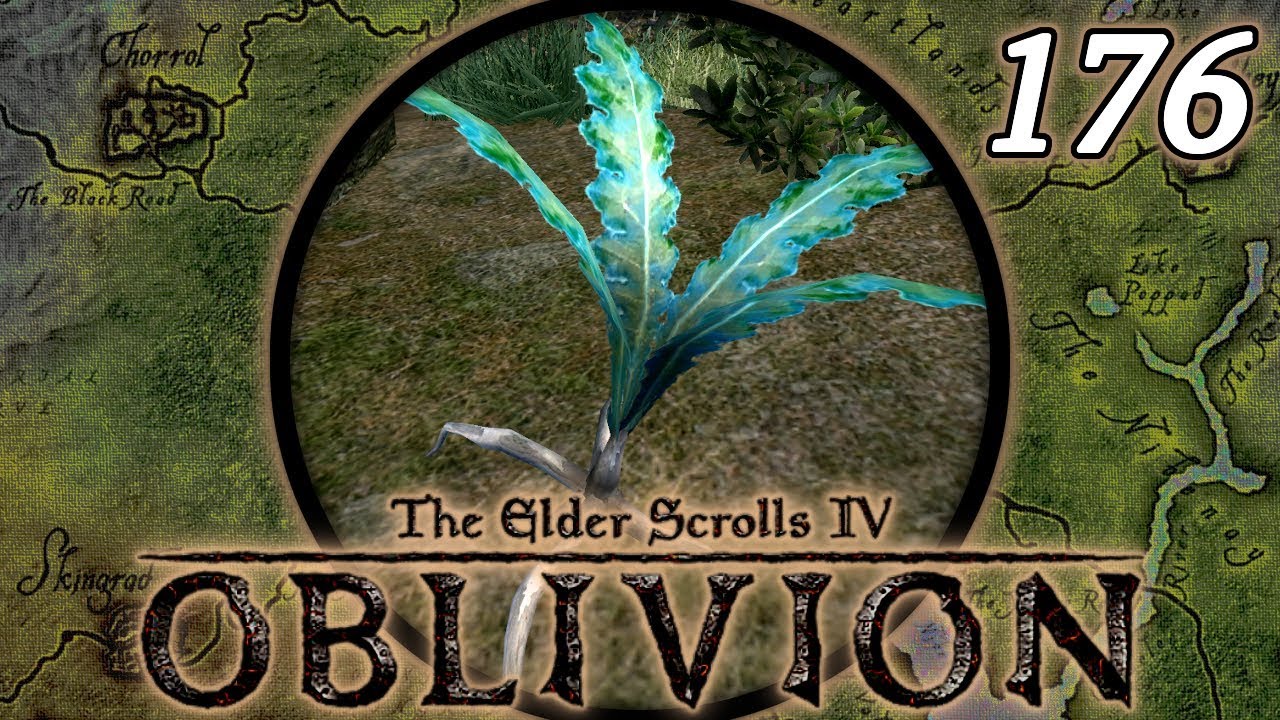 We Learn About Crimson Nirnroot - Let's Play Oblivion (Max Difficulty ...