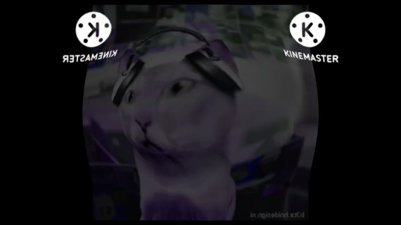 Preview 2 Numa Cats V4 With 6 Effects - YouTube