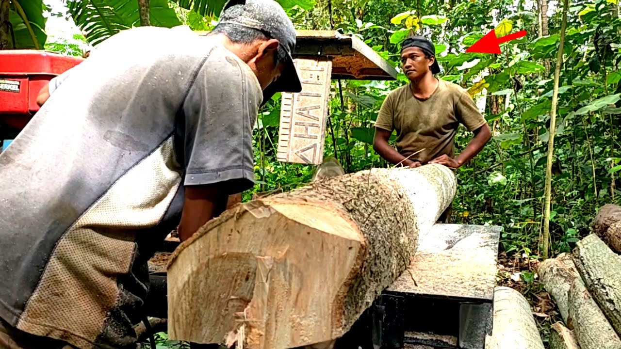 Amazing skill membuat usuk dari kayu waru dengan gergaji mesin serkel ...