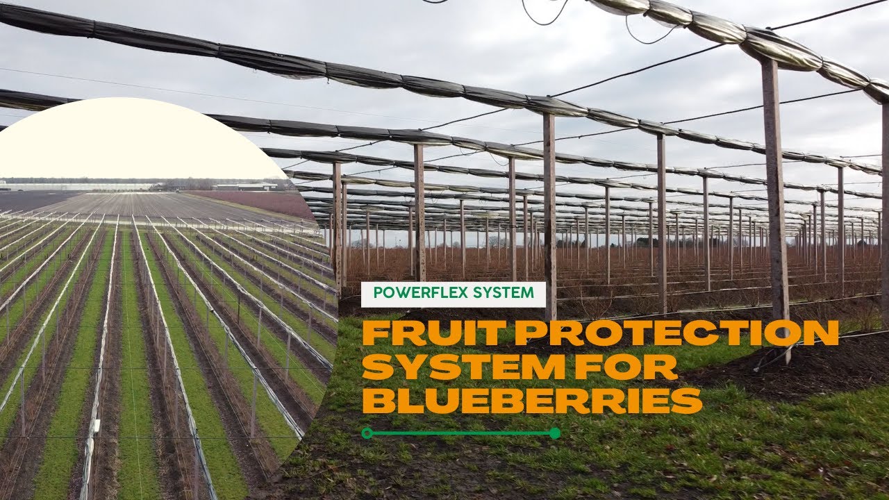 Rain protection system in winter position - FRUITSECURITY HOLLAND - YouTube