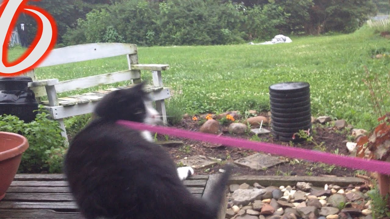 "Slender Man Video Proof Caught on Tape By Emma Jackson" 7-6-13 - YouTube