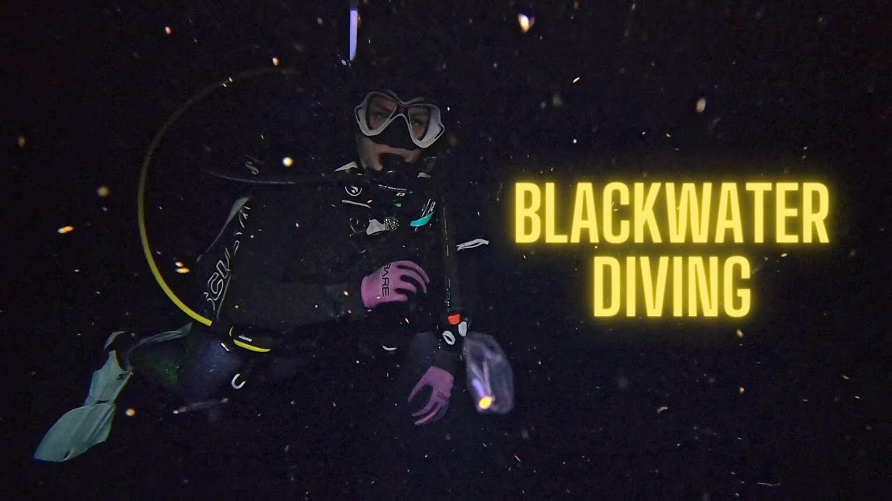 The Most Extreme Night Dive - Scuba Vlog - YouTube