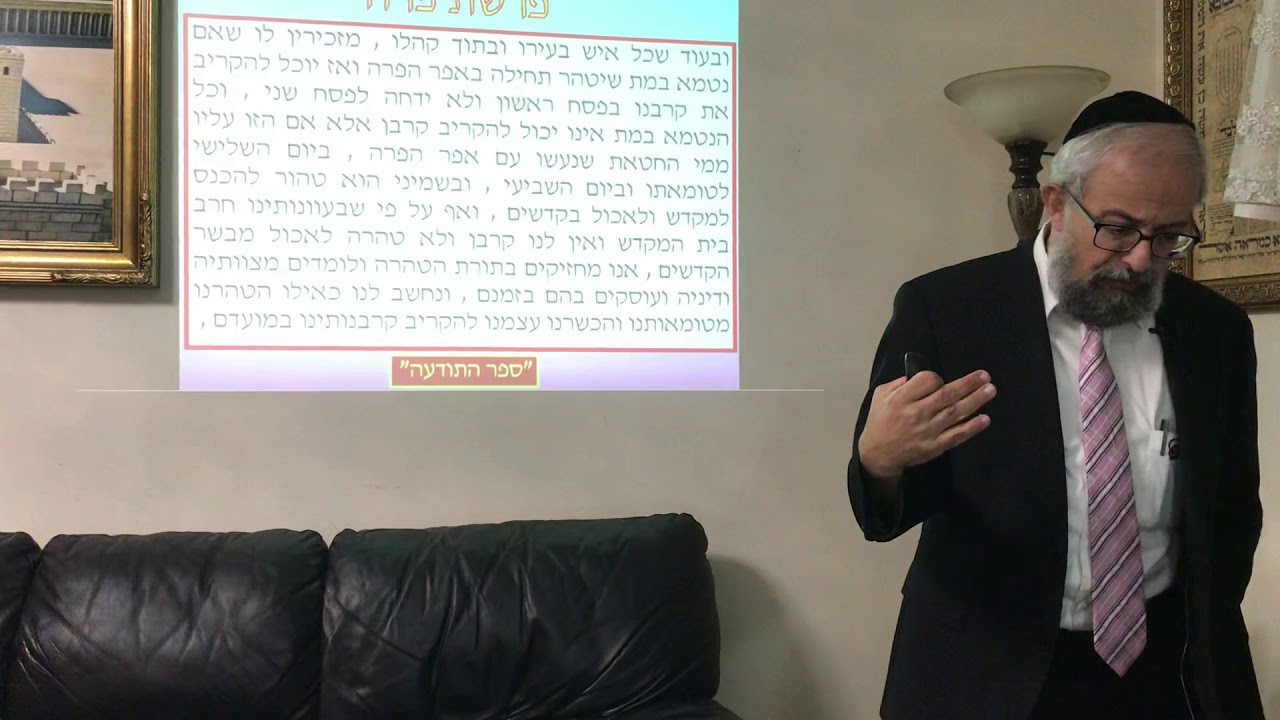 Parashat Para - The secret of the “Red Cow” - Rabbi Yinon Kalazan - YouTube