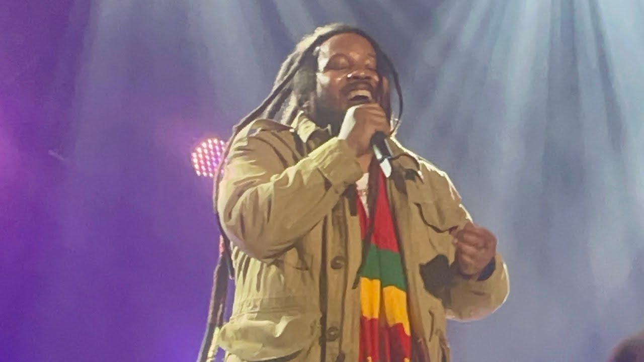 Damian and Stephen Marley Midnight ravers - YouTube