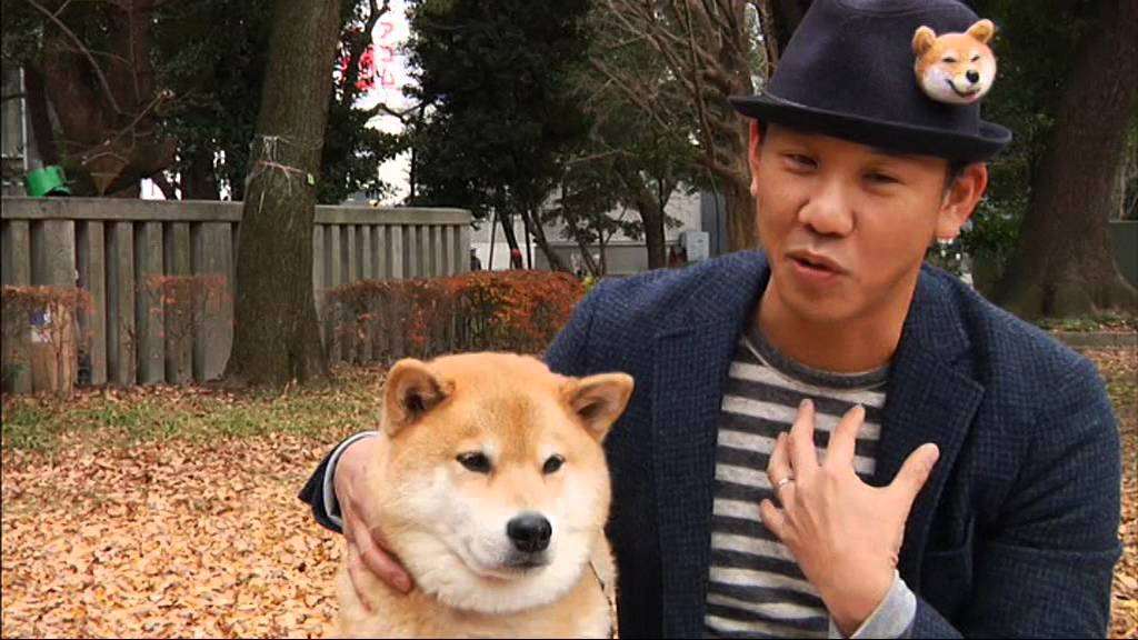 Marutaro el perro más famoso de Japón - YouTube