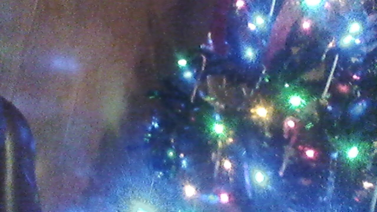 Live Christmas Tree From Criscoville Look And See Youtube