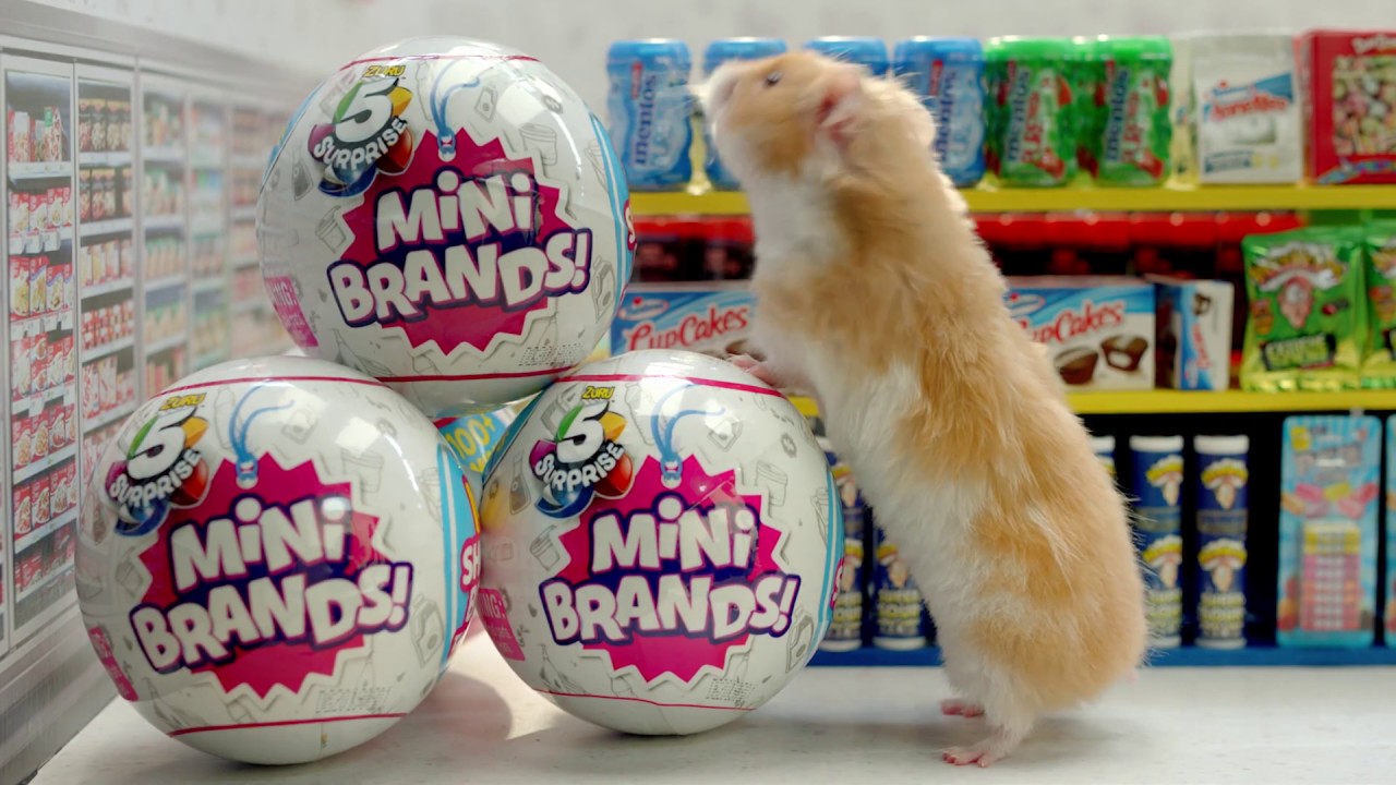 Hammy's picked his *FAVOURITE* Mini Brands! - YouTube
