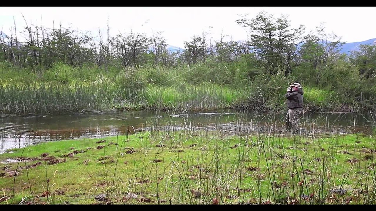 Free World 2.mp4 - YouTube