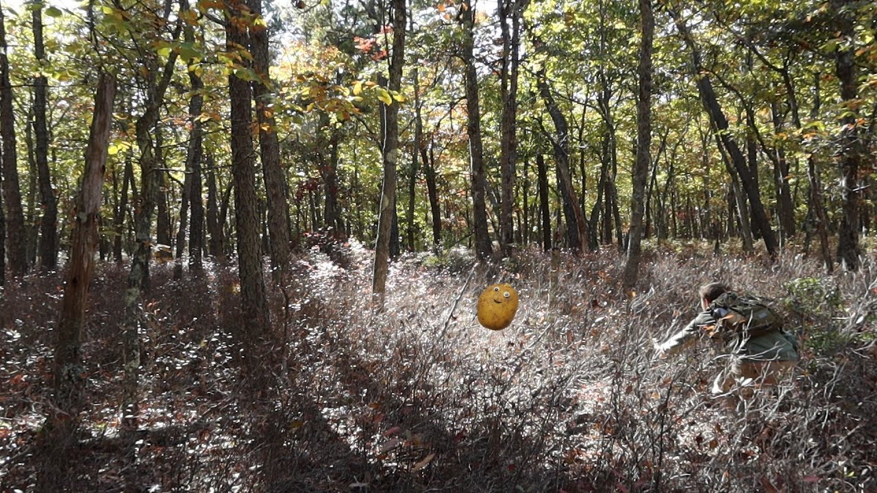 Potato Hunt - YouTube