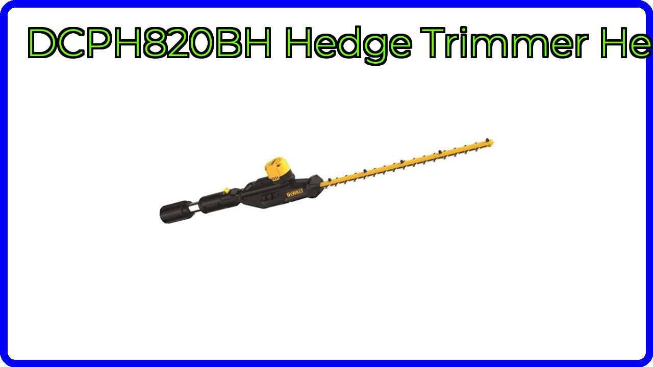 REVIEW (2026): DCPH820BH Hedge Trimmer Head. ESSENTIAL details. - YouTube