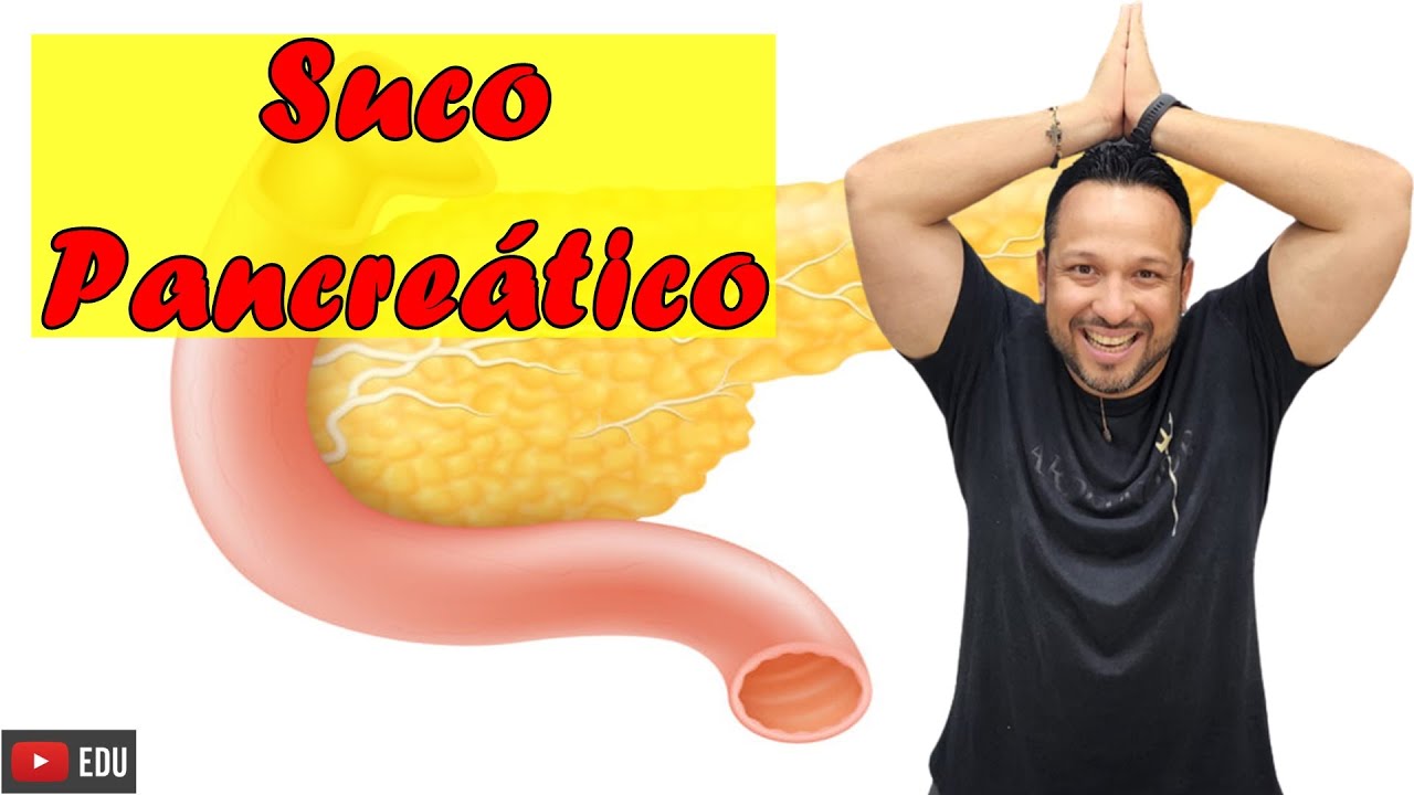 Suco Pancreático - Composição e Função - Sistema Digestório ...