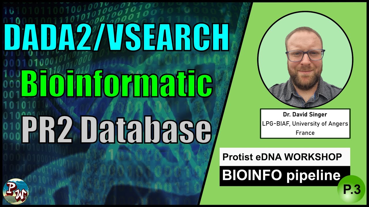 Protist eDNA bioinformatics PIPELINE from RAW data to MATRICES ...