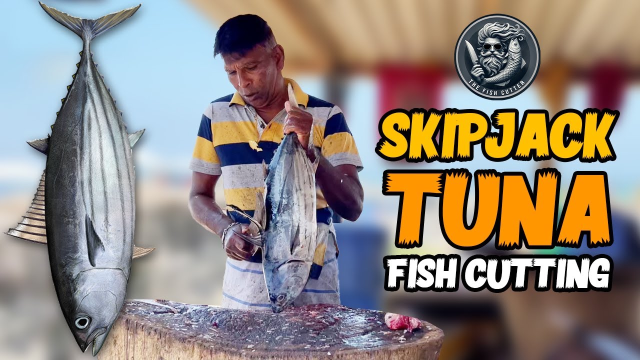 Huge Skipjack Tuna Smoothly Slicing To Small Pieces Fast Fish Cutting ...