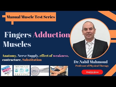 Fingers Adduction Muscles - YouTube
