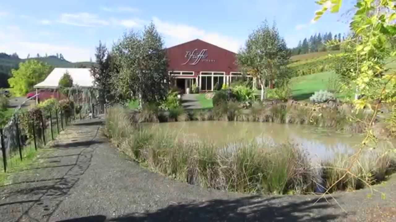 30 Years of Perfect Pinot - Pfeiffer Estate Winery - YouTube