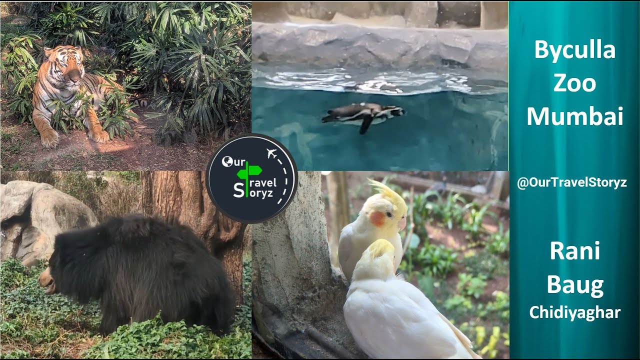 Byculla Zoo Mumbai | Complete Tour guide of Rani Baug #mumbaizoo # ...