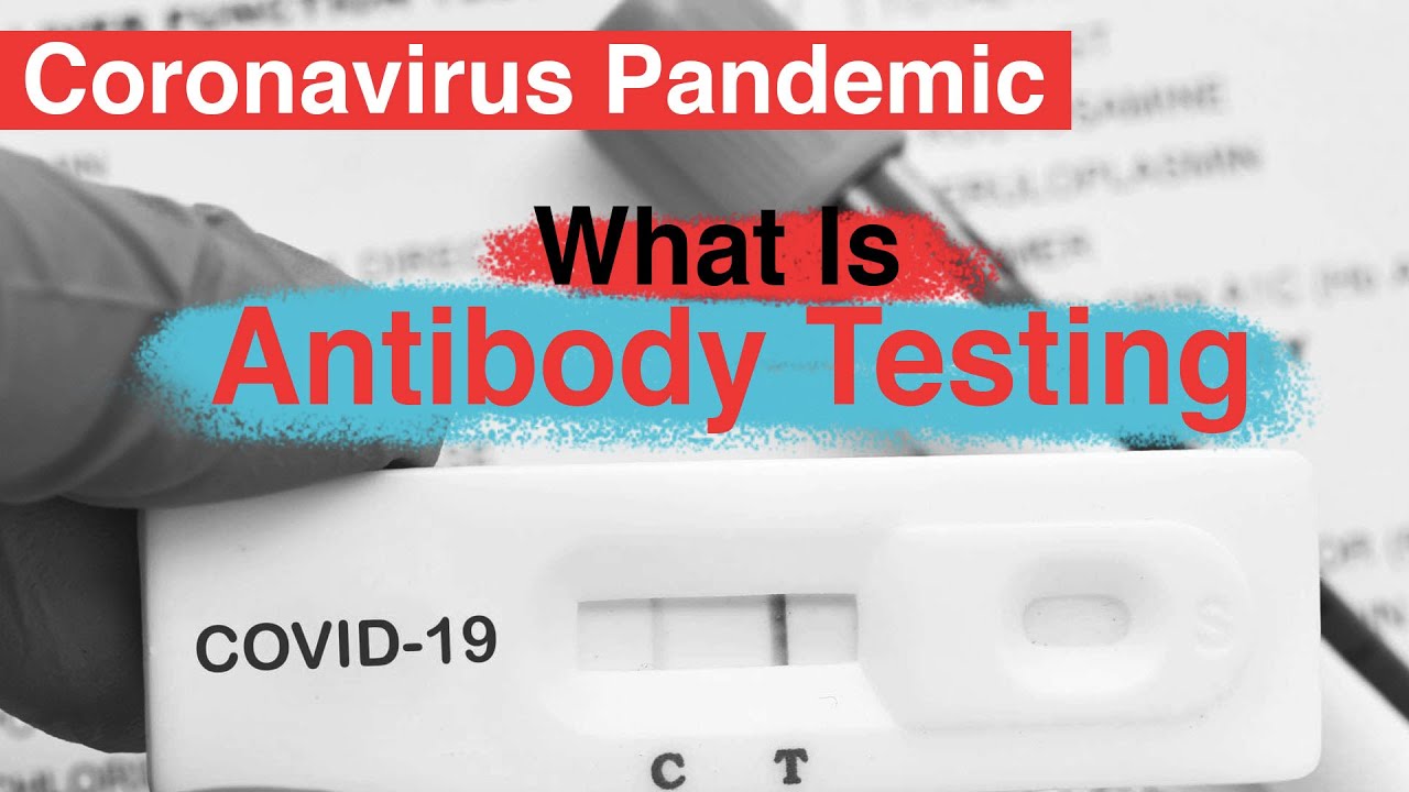 What Is Antibody Testing And How It Can Help In Coronavirus - Watch ...