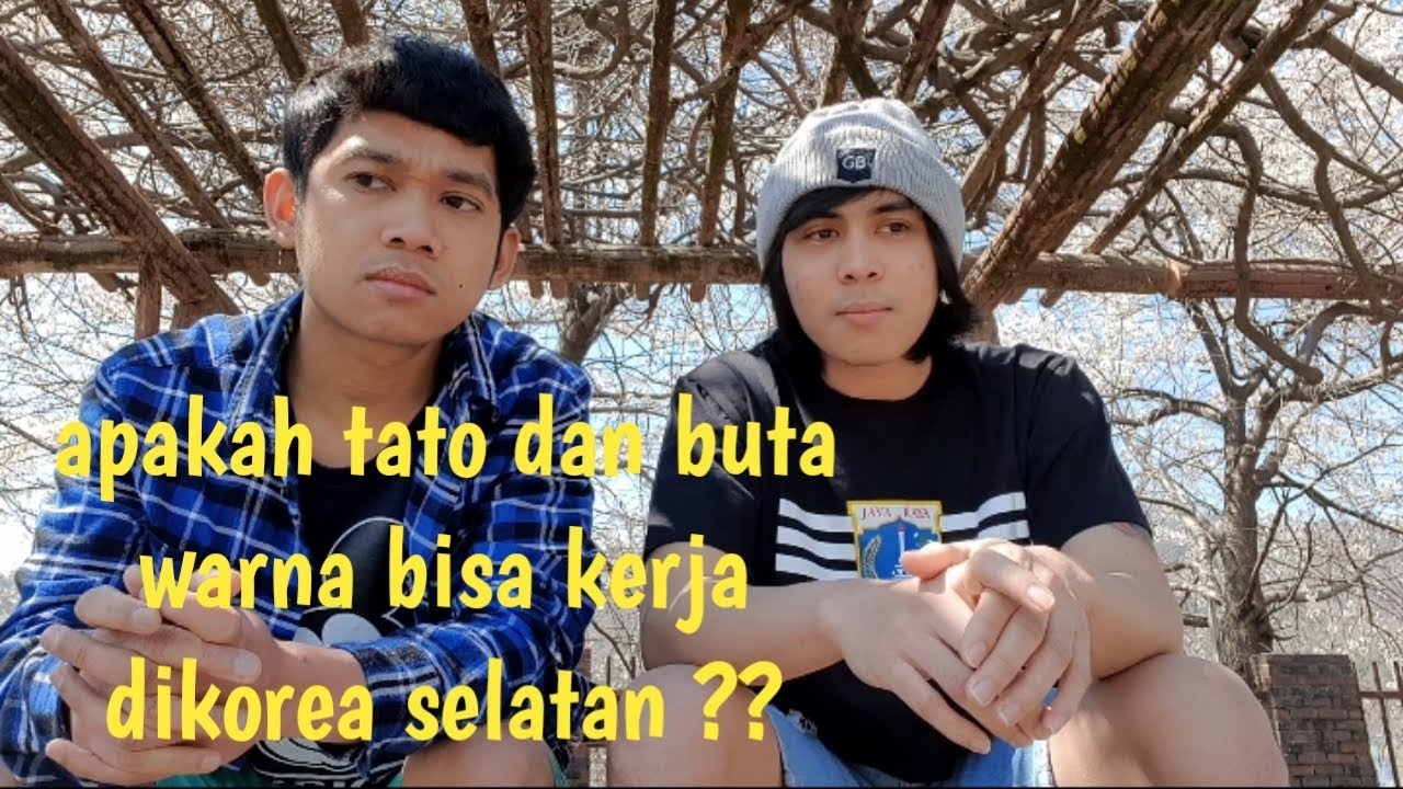 TATO DAN BUTA WARNA APA BISA PROSES KE KOREA - YouTube