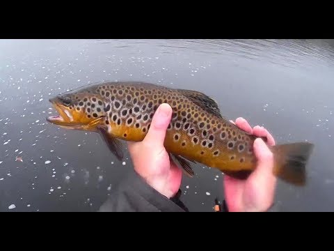 Fishing Loch Ard - 2017 - YouTube