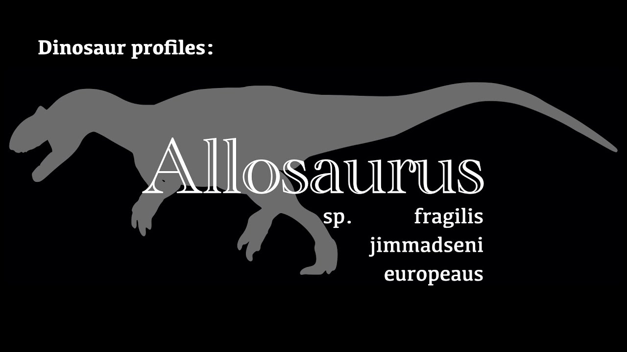 Allosaurus Size Comparison To T Rex