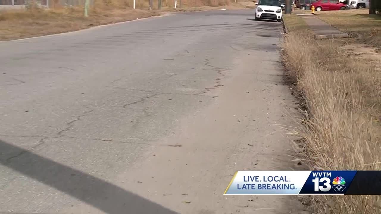 Organizations look at root of the problem following third dog attack in ...