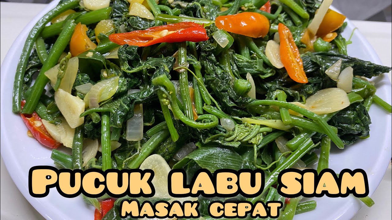 Masak cepat pucuk labu/tumis daun labu siam - YouTube