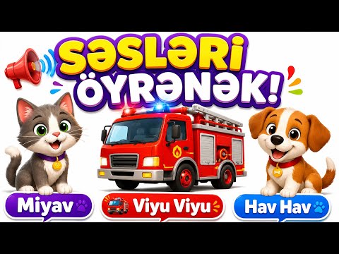 Səsləri öyrənək