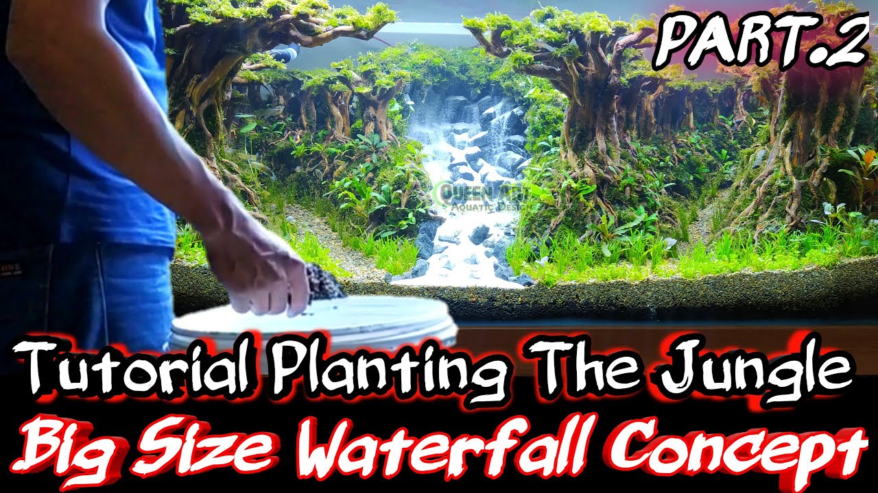 How to Planting Moss Aquascape | Waterfall aquascaping - YouTube