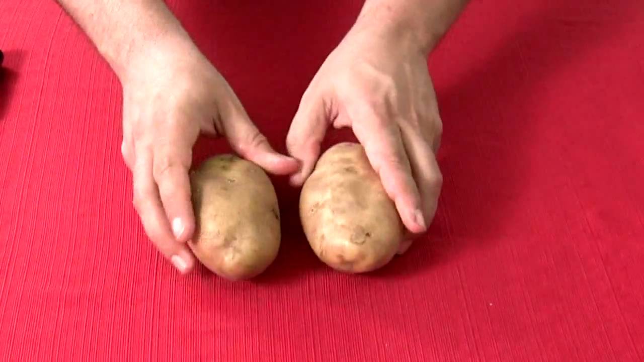 Breakfast of Champions (part 1) - YouTube