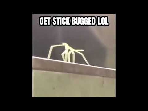 Get stuck bugged meme - YouTube