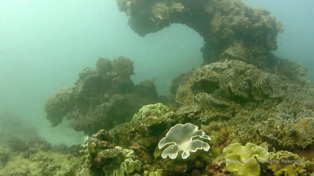 East Side Bommies, Murion Islands, Western Australia (HD) - YouTube