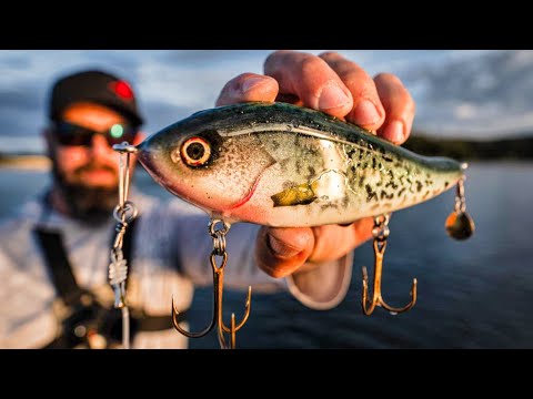 THE BEST MUSKY FISHING I'VE EVER EXPERIENCED!! - Iowa Muskies on a ...