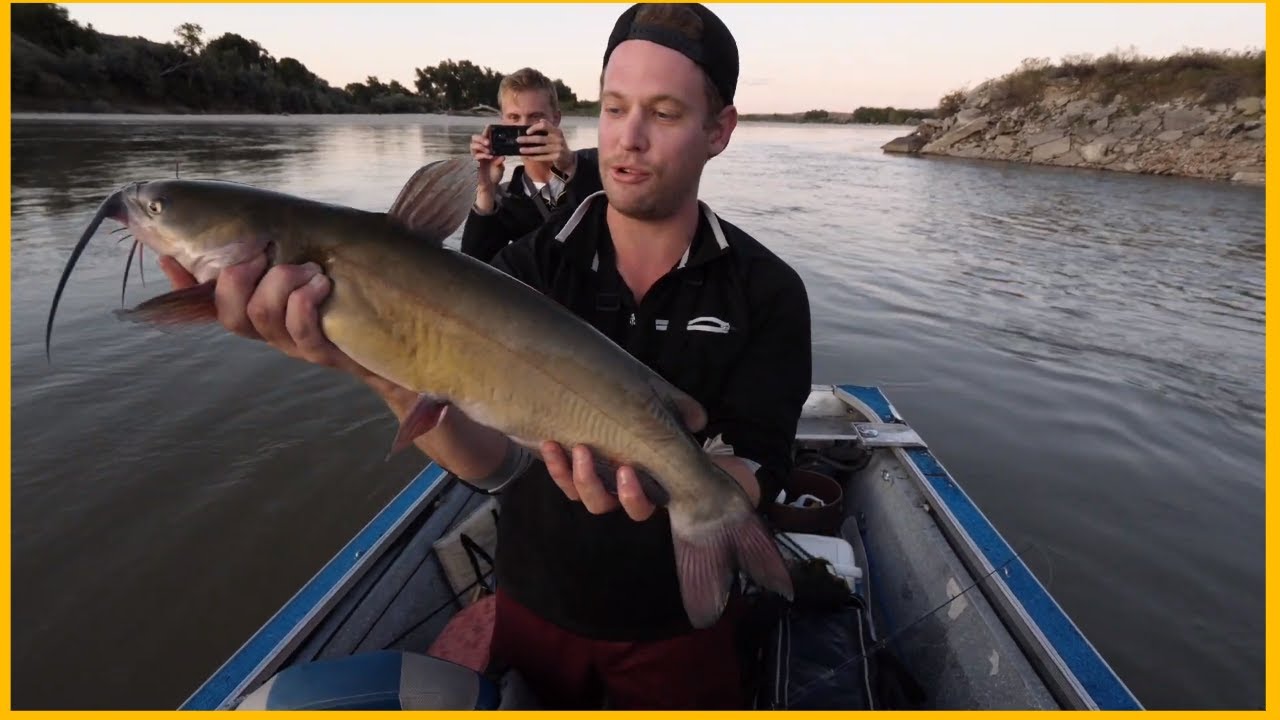 CRAZY CATFISH DAY ON THE YELLOWSTONE RIVER - YouTube