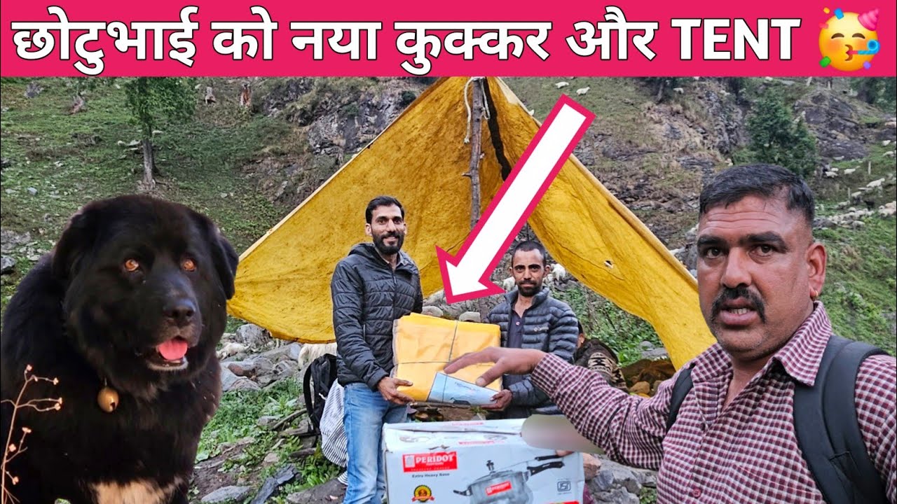 NEW TENT OR COOKER FOR NOMADIC GUJJAR SHEPHERD'S CHOTTU BHAI OR MAMA JI ...