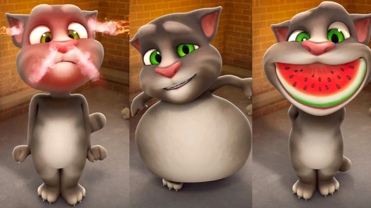 Talking Tom Cat Funny Gameplay - YouTube