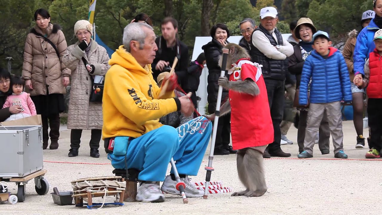 MVI 6802 Dazaifu Tenmangu monkey performance - YouTube