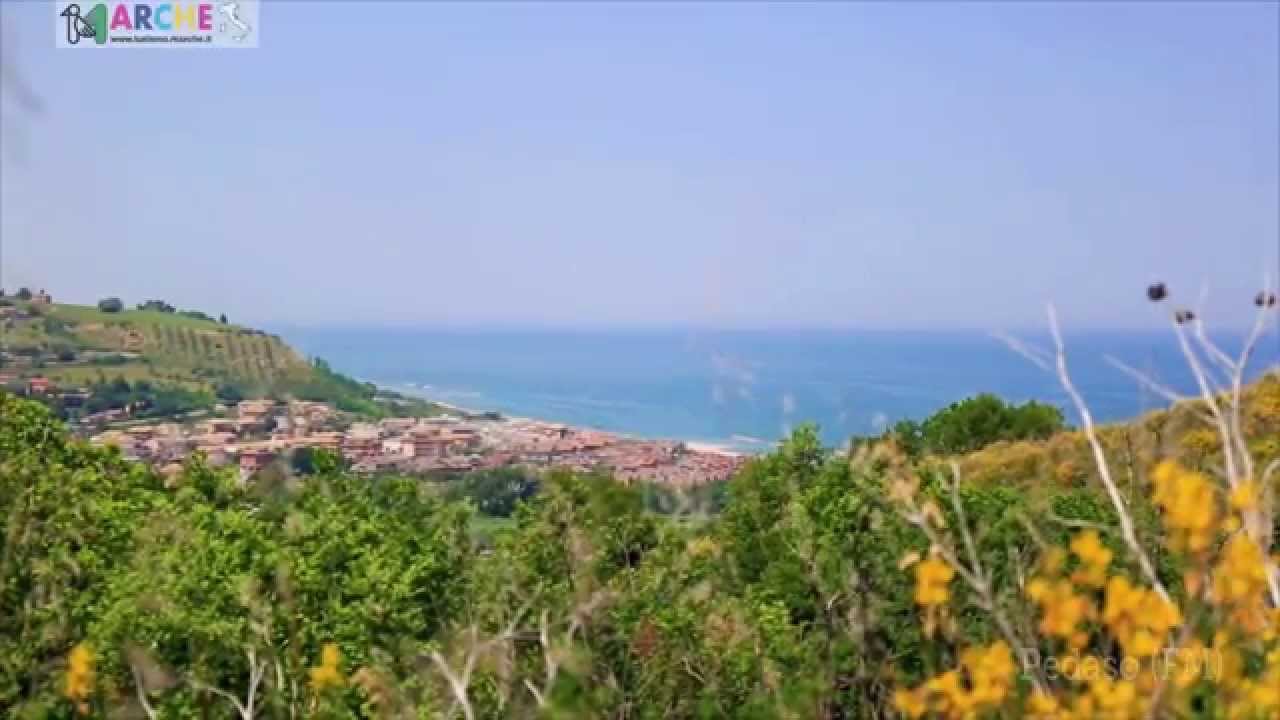 Le Marche in pillole: Pedaso - YouTube