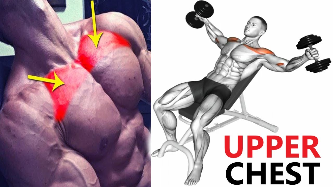 EFFECTIVE UPPER CHEST EXERCISES TO FILL OUT YOUR PECS - YouTube