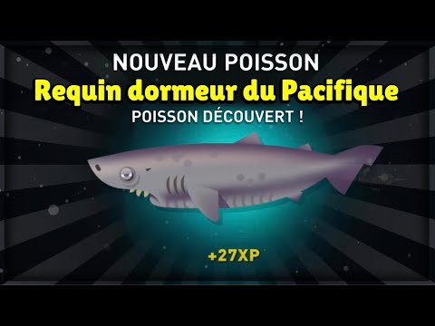 OU TROUVER LE REQUIN DORMEUR DU PACIFIQUE SUR CREATURES OF THE DEEP ...