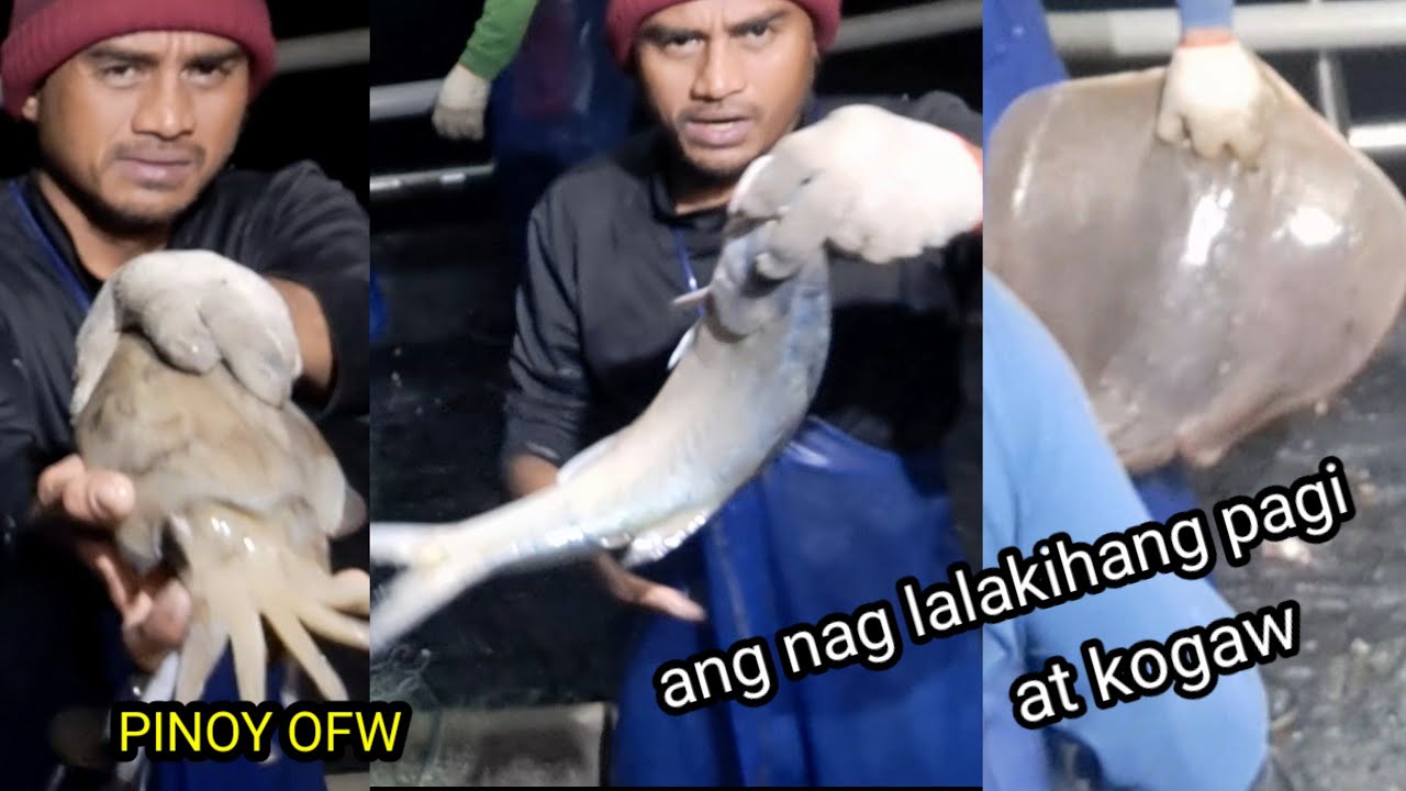 Lumabas na ang nag lalakihang pagi at kugaw. May pusit bagolan pa ...