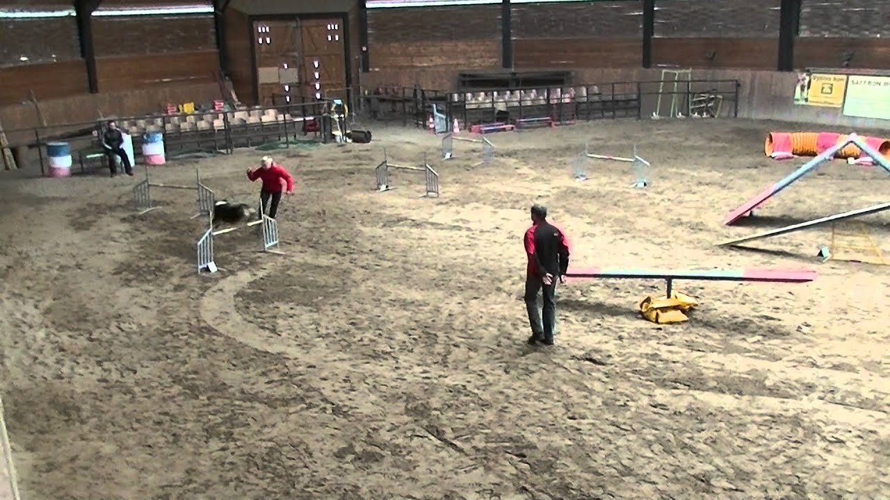 Aillie - Faktor strachu 28.3.2015 - 3.zk.LA3 - YouTube