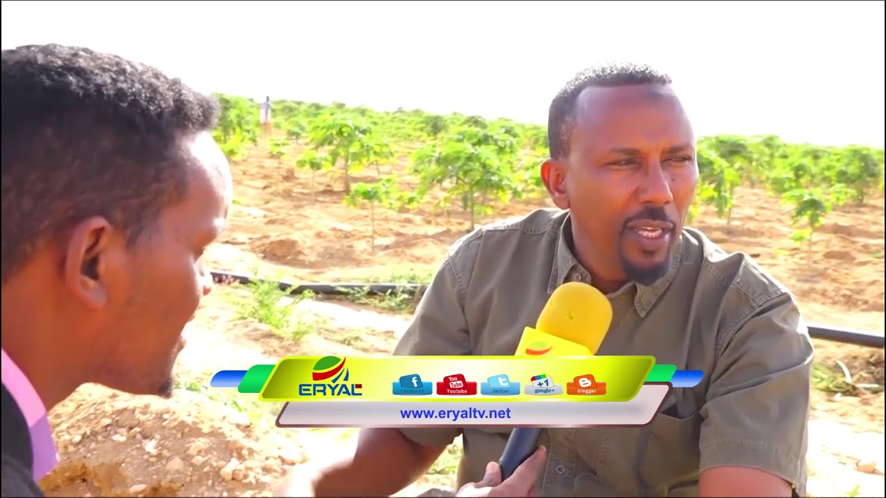 Ex Wasiir : Cumar Shucayb Oo Beeroole Noqday - YouTube