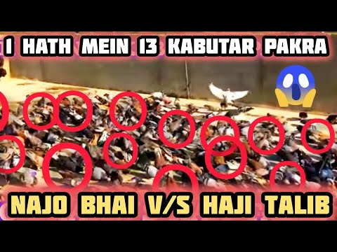 13 kabutar pakra |1 hath mein | Najo Bhai V/S Haji Talib | 1000 Gola Kabootar K Lariyan  | 2 day