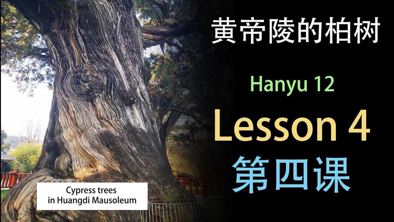 Learn Mandarin Hanyu Book 12 Chapter 4 - YouTube