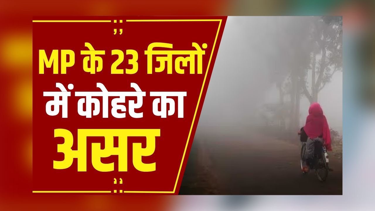 MP Weather Update: इन 23 जिलों में कोहरे का असर, कुछ जगहों पर विजिबिजिटी 100 मीटर से भी कम - YouTube