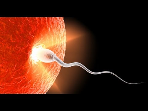 Conservative: Life Begins BEFORE Conception - YouTube