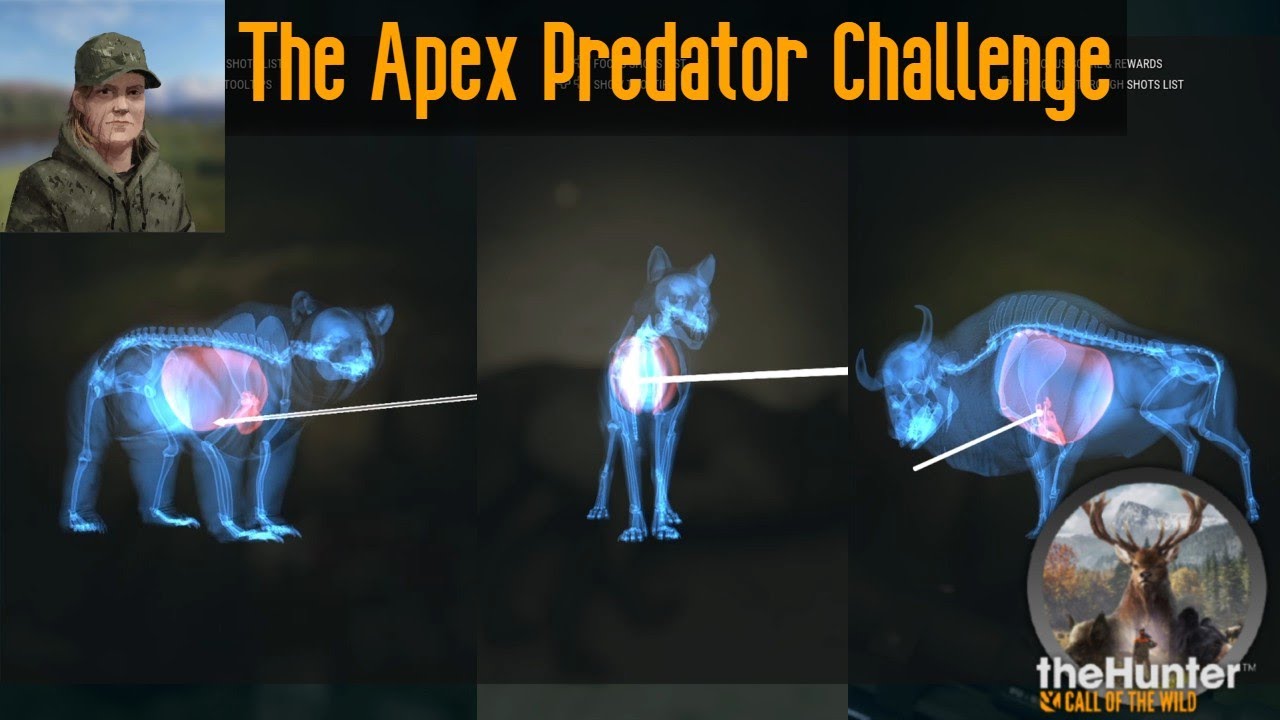 The Apex Predator Challenge theHunter Call of the Wild - YouTube