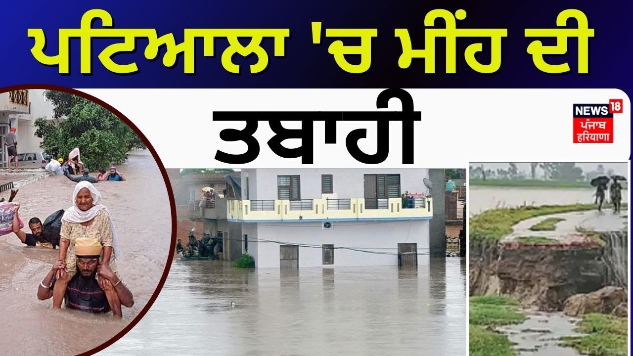 Patiala News | ਪਟਿਆਲਾ 'ਚ ਮੀਂਹ ਦੀ ਤਬਾਹੀ | Patiala Flood News | Punjab ...