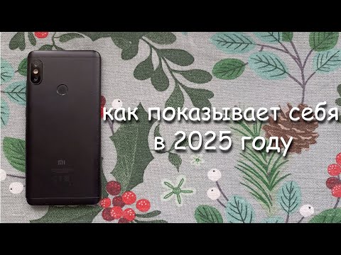 как показывает себя Xiaomi Redmi Note 5 в 2025 году?
